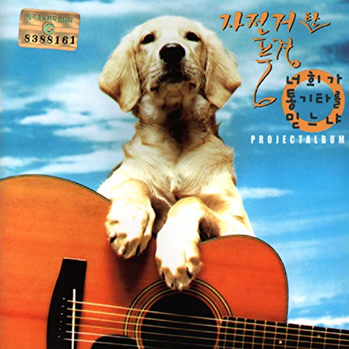 Doc Dancing – Die 15 besten Produkte im Vergleich - Haustierratgeber ...