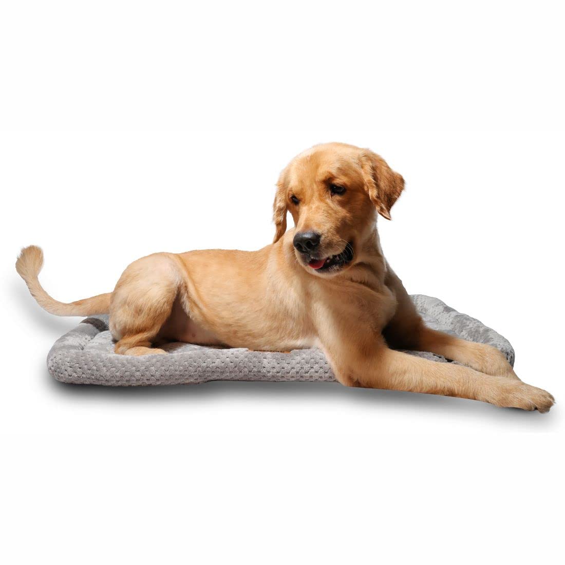 PETTER WORLD All Weather Luxury Quilted Crate Mat with Padded ...