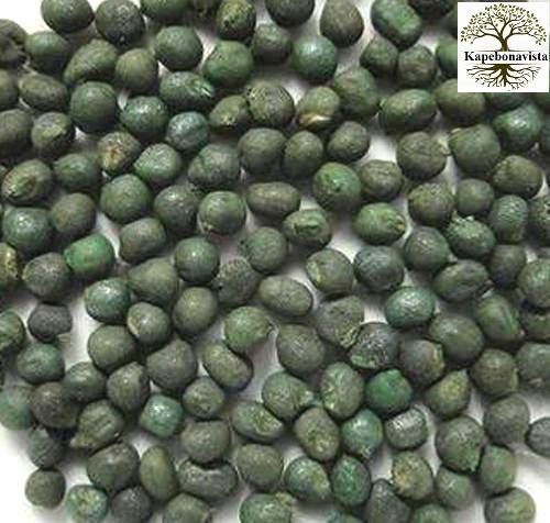 Kapebonavista® Bhendi Bhindi Ladyfinger Seeds Okra Bhindhi Vendakkai ...