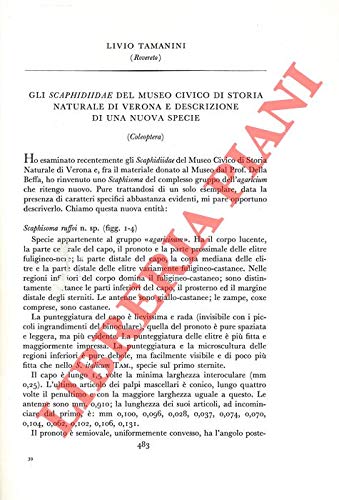 Amazon.com: Gli Scaphidiidae del Museo Civico di Storia Naturale di ...