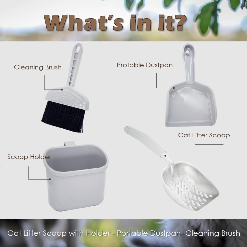 Purr-Fectly Clean: The Ultimate Guide To The Best Cat Litter Setup | Riosc