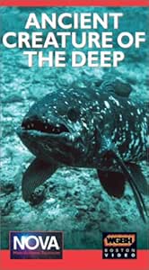 Amazon.com: Nova: Ancient Creatures of the Deep [VHS] : Movies & TV