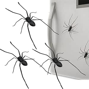 Amazon.com: 3D Spider Fridge Magnet,Realistic Spider Magnets,Removeable ...