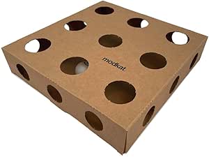 Amazon.com: Cat Toy Box (3-Pack) : Pet Supplies