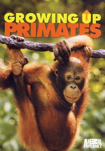 Amazon.com: Growing Up Primates DVD : Movies & TV