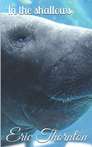 Amazon.com: In The Shallows: 9781980816560: Thornton, Eric: Books