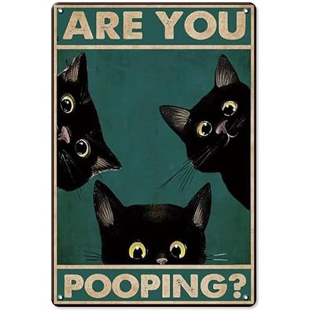 Amazon.com: Retro Tin Sign Vintage are You Pooping Restroom Wall Toilet ...