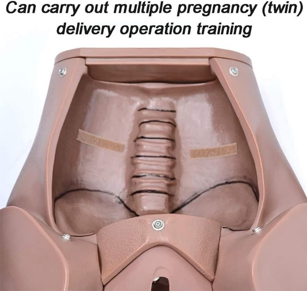 Midwifery Training Childbirth Simulator Life Size Australia | Ubuy