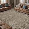 Amazon.com: DEXI Area Rugs for Living Room, 4x6 Washable Low Pile ...