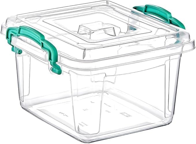 Best House | Small Plastic Storage Box with Clips & Lids | Size: 2.5L ...