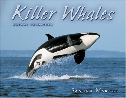 Killer Whales (Animal Predators): Markle, Sandra: 9781575057439: Amazon ...