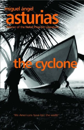 Buy The Cyclone (Peter Owen Modern Classics S.) Book Online at Low ...