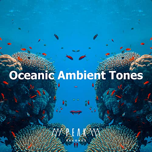 Play Oceanic Ambient Tones by New Age Ocean Sounds on Amazon Music