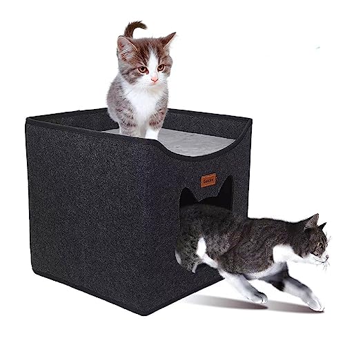 Get Your Feline Friend the Perfect Hideout: Top 10 Cat Cubbies Reviewed ...