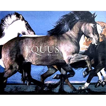 Equus: Tim Flach: Amazon.co.uk: Flach, Tim: 9780810971424: Books