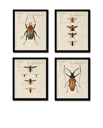 Amazon.com: French Insect Study Print Set No. 2 Set of 4 Giclee Insect ...