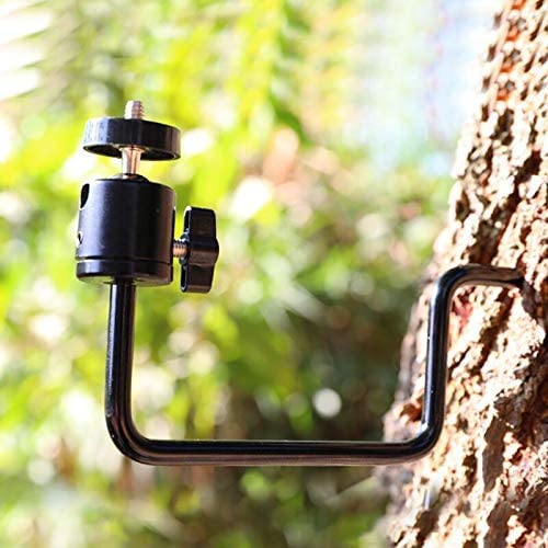 The 29 Best Tree Mount Security Cameras of 2025 [Verified] - Cherry Picks