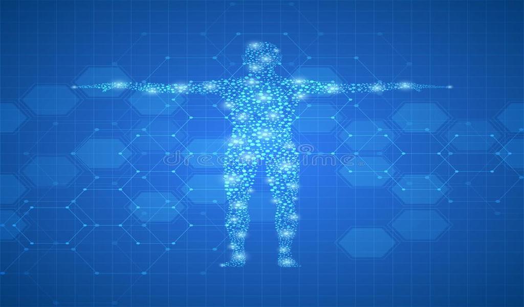 100% PERFECT HUMAN ANATOMY & PHYSIOLOGY - App on Amazon Appstore