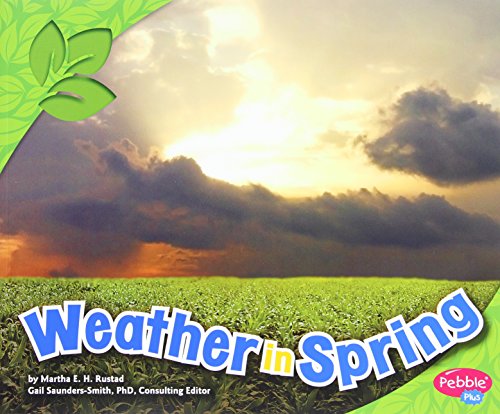 15 Engaging Spring Weather Books for Preschoolers