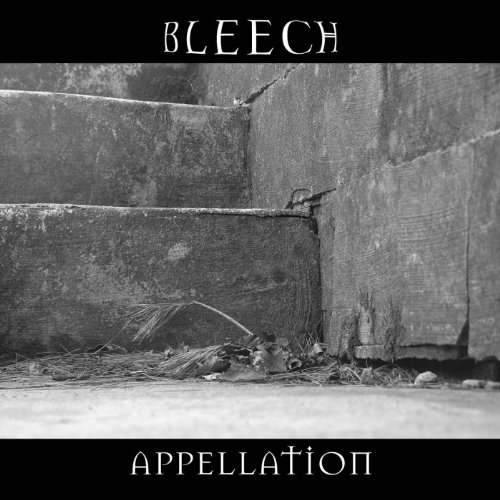 Amazon.co.jp: Appellation : Bleech: デジタルミュージック