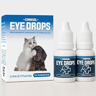 Treating Eye Infections In Chickens: A Quick Guide | CyChicken