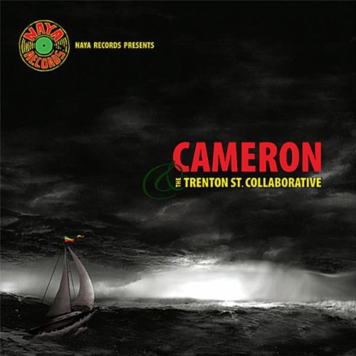 Amazon.com: Cameron & the Trenton St. Collaborative : Cameron Greenlee ...