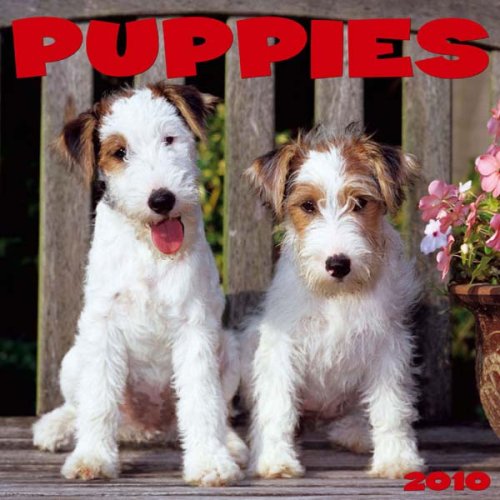 Puppies 2010 Wall Calendar: Zebra Publishing Corp.: 9781554562503 ...