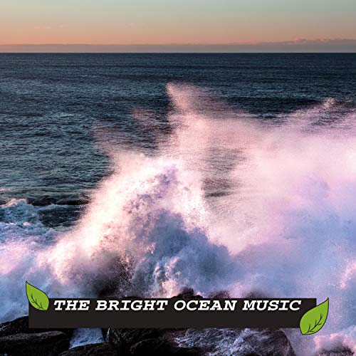 Amazon.com: The Bright Ocean Music : Calm Ocean Music: Digital Music