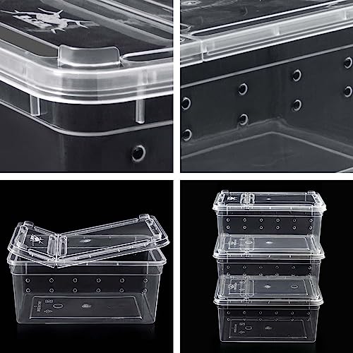 Snapklik.com : 6 Pcs Spider Terrariums Breeding Box Insect Container ...