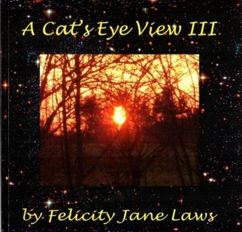 Amazon.co.jp: A Cat's Eye View III : Laws, Felicity Jane, Brearley, Ann: 洋書