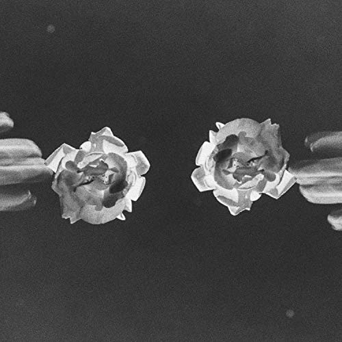 Play White Parrot by Nathan Koah on Amazon Music