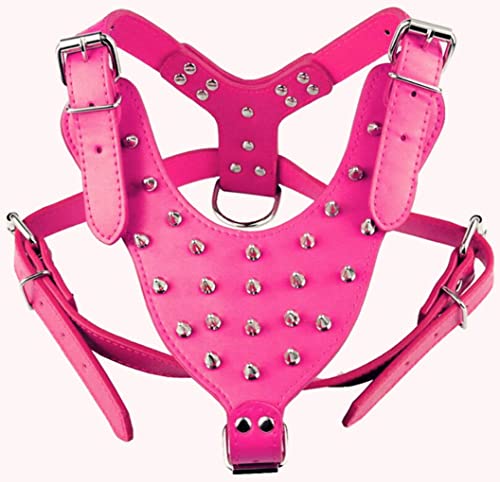 Spike Vest for Dogs – The 15 best products compared - Wild Explained