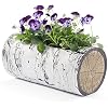 Amazon.com : Nature Innovations 11" Horizontal Surreal Birch Planter ...