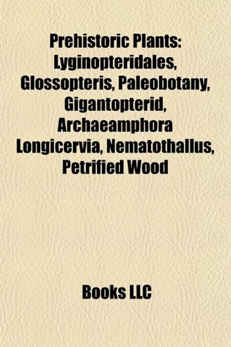Prehistoric Plants: Evolutionary History of Plants, Paleobotany ...