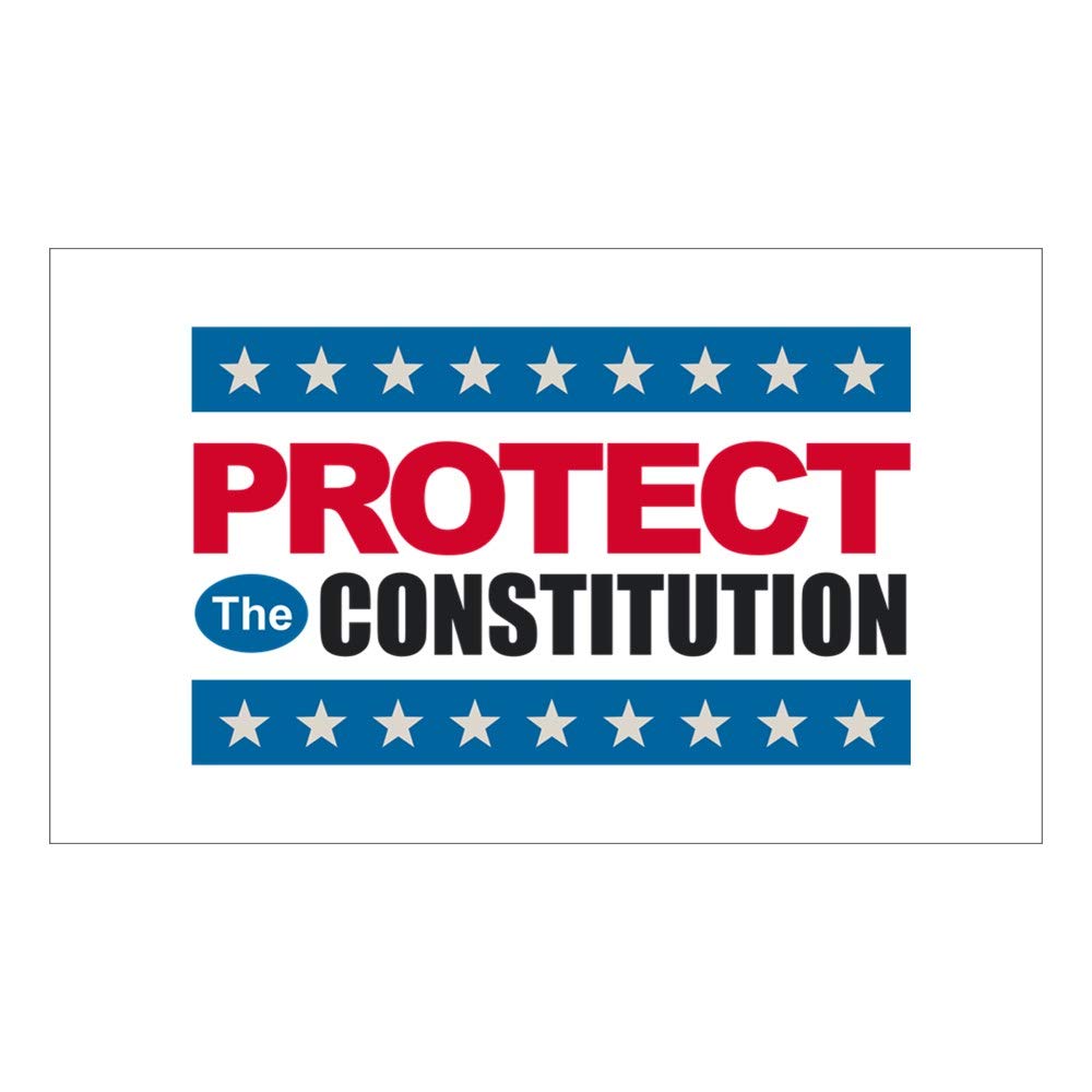 Amazon.com - Protect The Constitution Decal Vinyl Bumper Sticker 5"