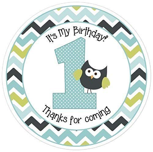 Amazon.com: Boy Owl First Birthday Stickers, 36 Owl 1st Birthday ...