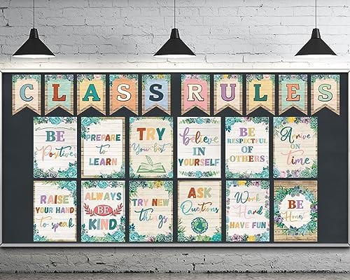 Amazon.com : 22Pcs Class Rules Posters Succulents Classroom Rules ...