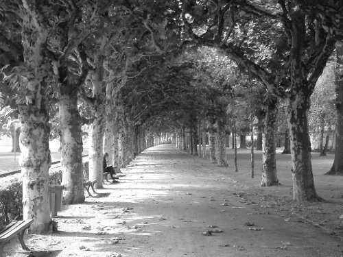 Amazon | Love Poems (English Edition) [Kindle edition] by Heil, James D ...