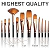 Benicci Nylon Professional Paint Brush Set Of 12 Artist Paintbrush Kit For Canvas,Gouache ...
