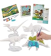Amazon.com: Nene Toys Dinosaur Painting Kit for Kids 3-7 Years [The ...