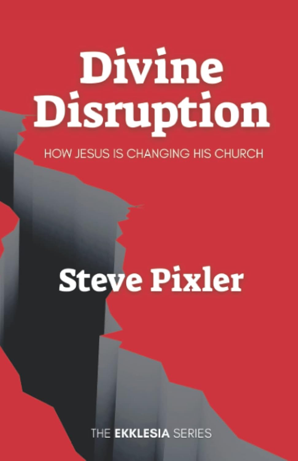 Divine Disruption: How Jesus Is Changing His Church: Pixler, Steve ...
