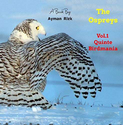 Amazon.com: The Ospreys: 9781999052515: Ayman Rizk: ספרים