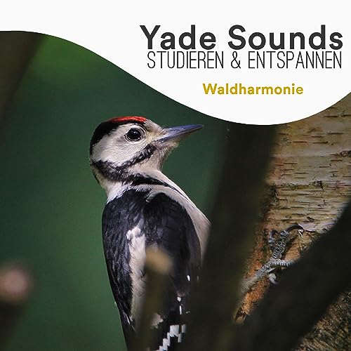 Spiele Waldharmonie von Yade Sounds: Studieren & Entspannen auf Amazon ...