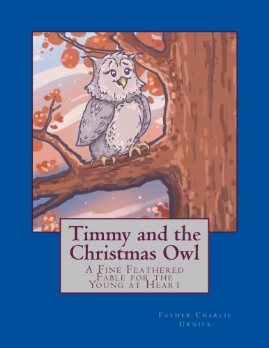 Amazon.com: Timmy and the Christmas Owl: (A Fine Feathered Fable for ...