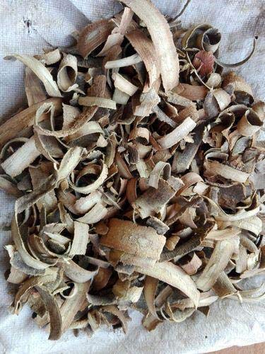 Buy vinarghya – Kuda Chhal/Holarrhena Antidysenterica/Kutaja/Pandhara ...