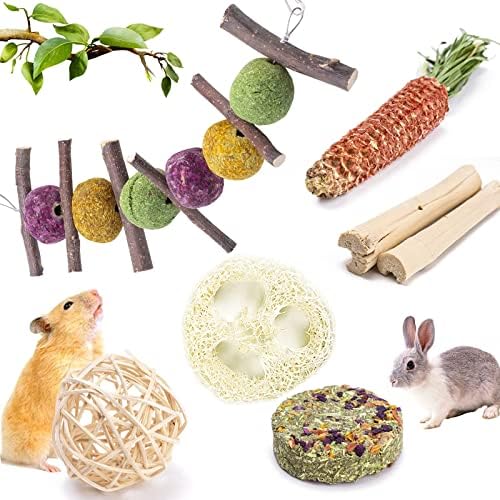 Amazon.com : PStarDMoon Bunny Chew Toy,Pet Bunny Tooth Chew Toys ...