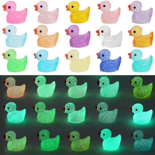 Amazon.com: LOUHUA 225 Pcs Luminous Mini Resin Ducks Glow in The Dark ...