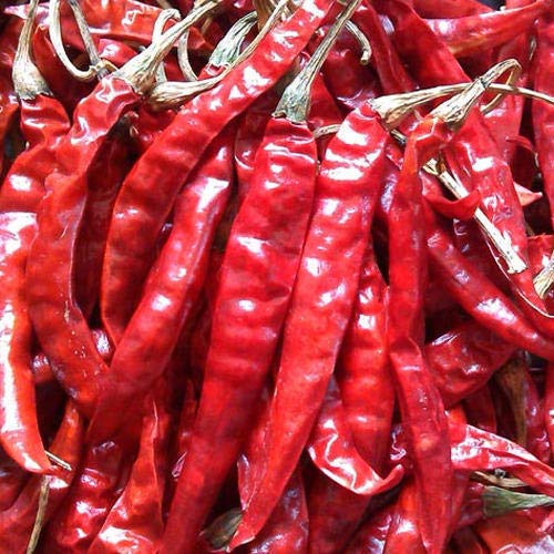 Solapur Chatni Dry Red Chilli (Jawari/Desi/Tikha Lal Mirchi) 500gm ...