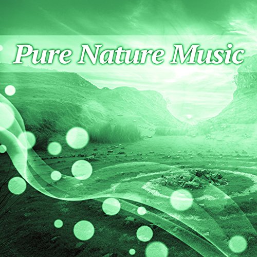 Amazon.com: Pure Nature Music – New Age Ambient, Nature Sounds ...