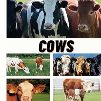 Toddler Book About Cows: Includes Over 100 Real Photos of All Kinds Of ...